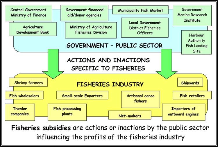 Does the US government subsidize commercial fishing?