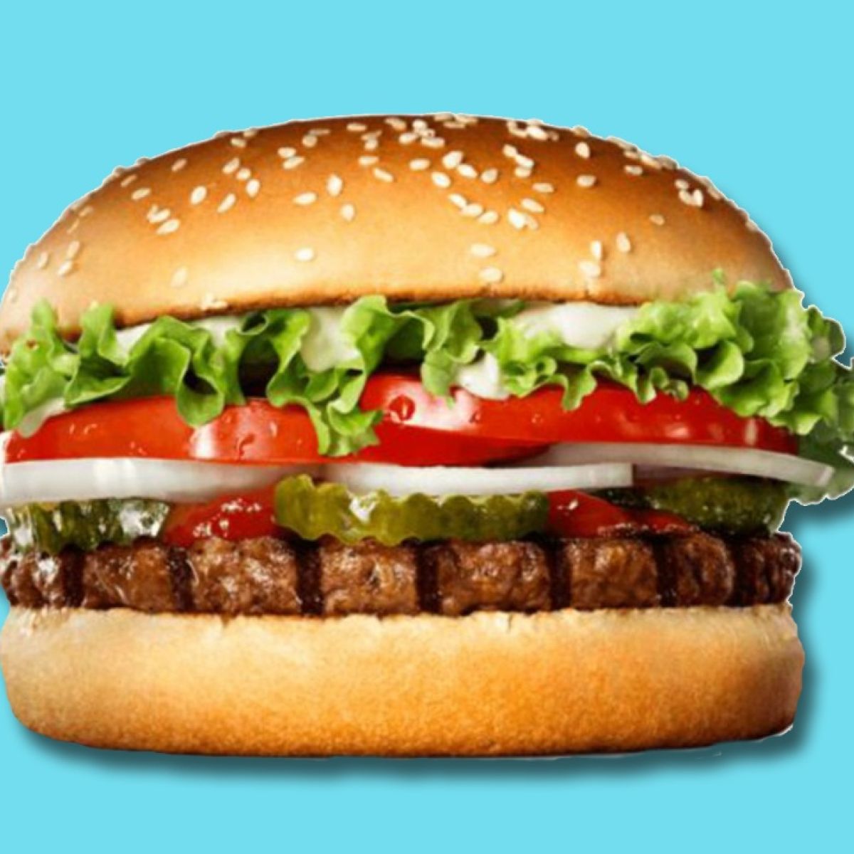 Does the veggie burger from burger King taste good?