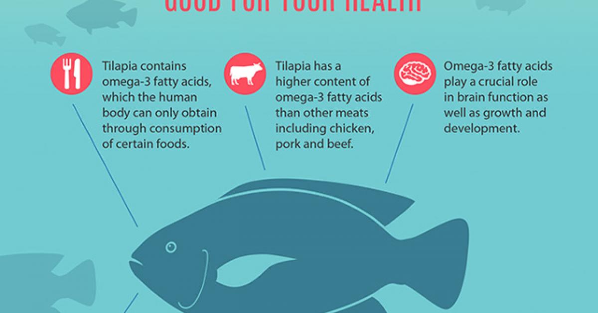 Does tilapia have a lot of omega-6?