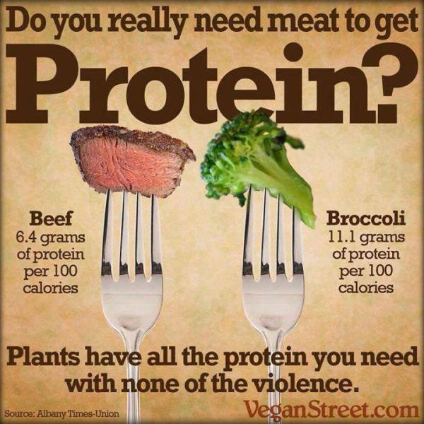 Does vegetables give you more protein than meat?