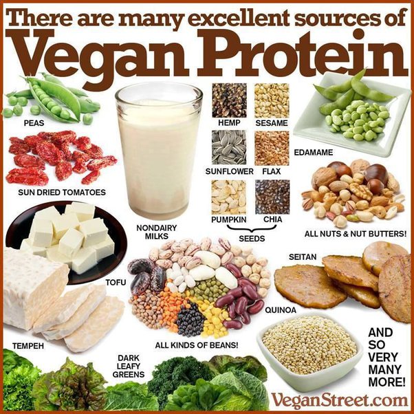 Does vegetarian diet contain all amino acids?