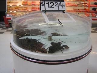 Does Walmart have live lobsters?