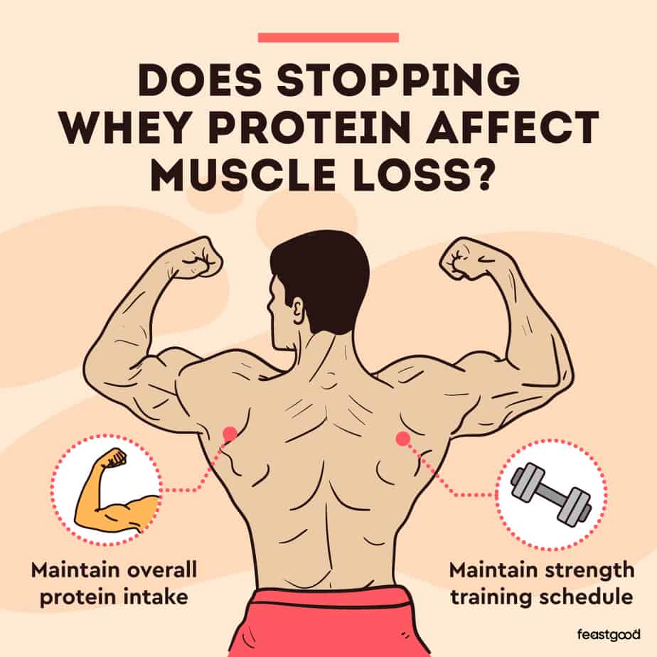 Does whey protein affect muscle growth?