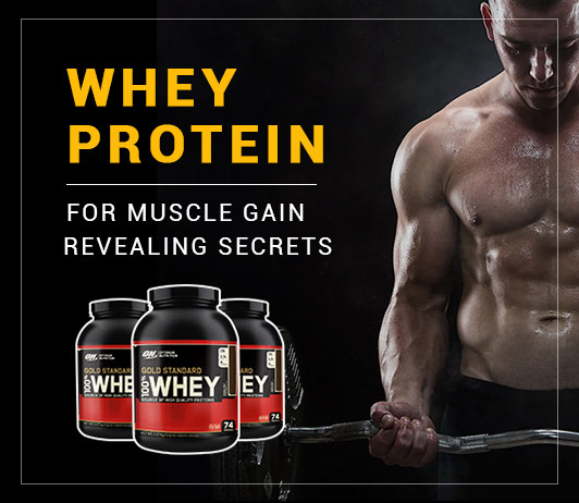 Does whey protein help build muscle?