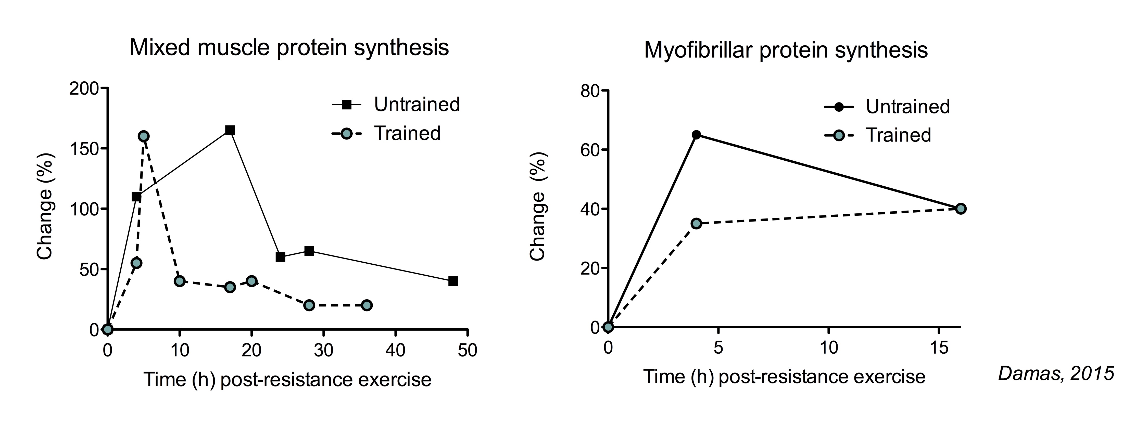 Does whey protein increase protein synthesis?