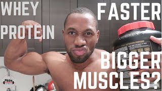 Does whey protein make muscles bigger?