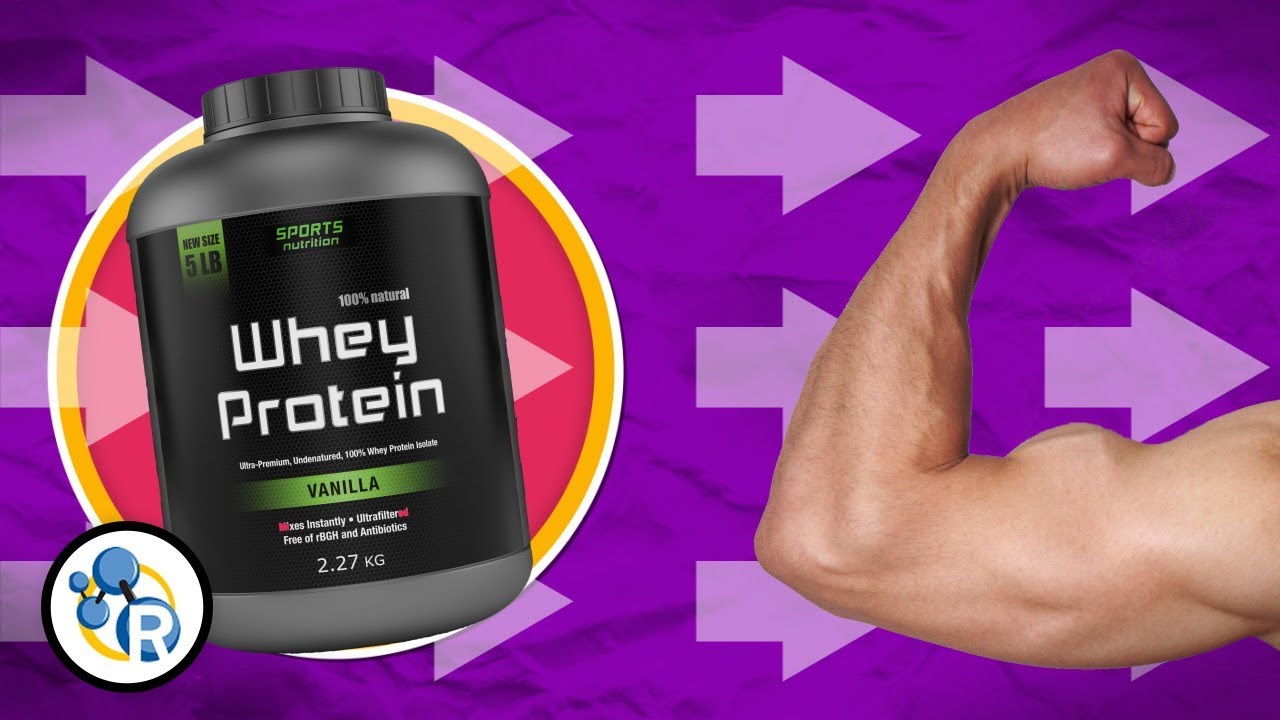 Does whey protein make your muscles bigger?