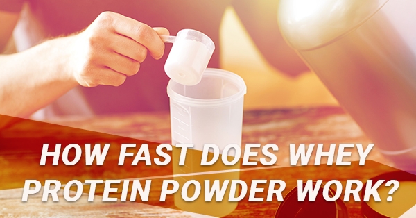 Does whey protein work instantly?