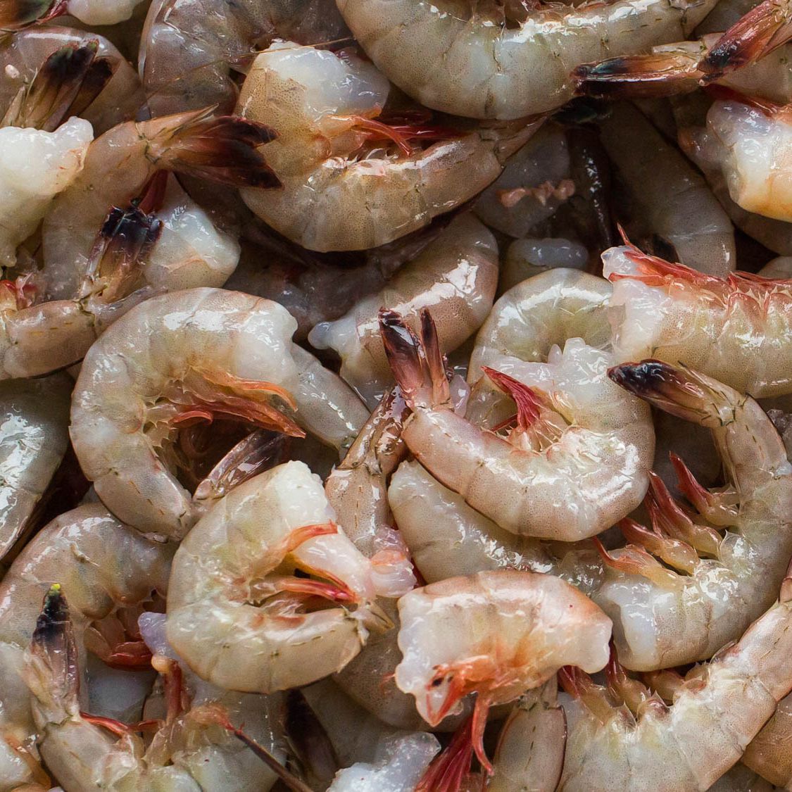 Does wild caught shrimp taste different?