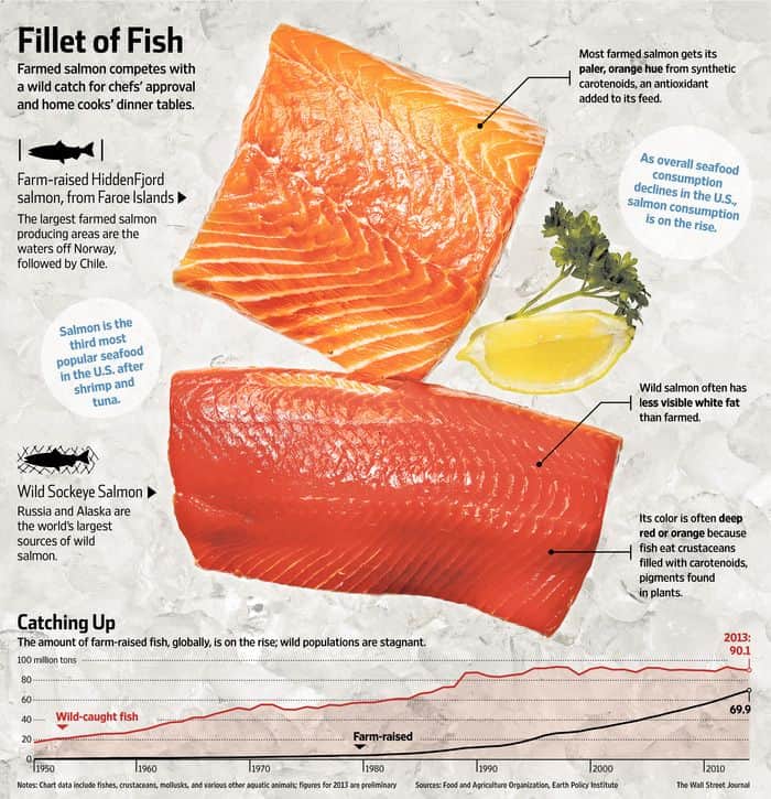 Does wild or farm-raised salmon taste better?