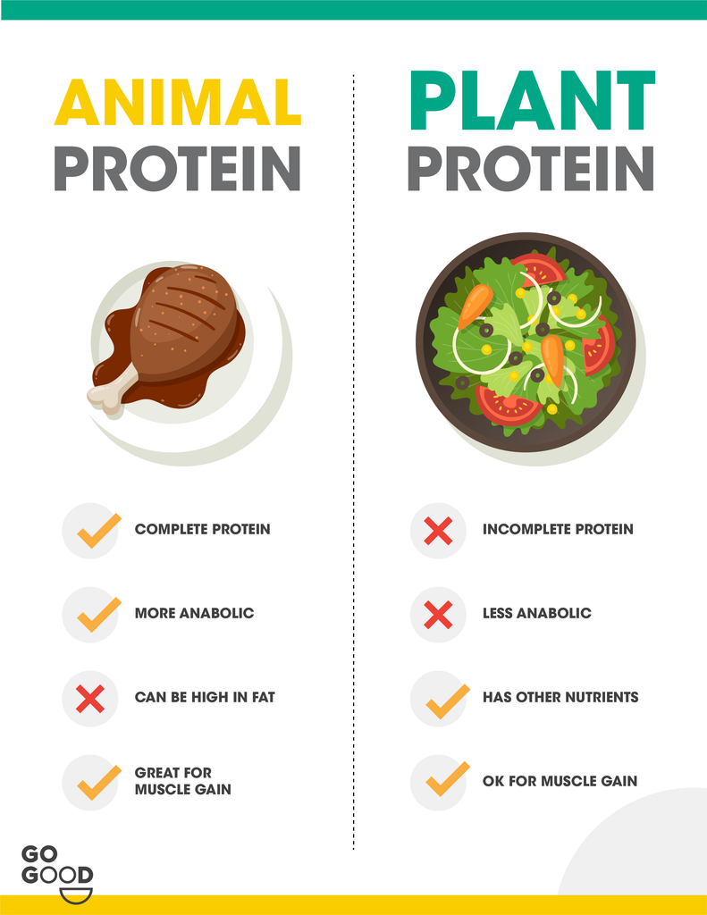 Does your body know the difference between plant and animal protein?