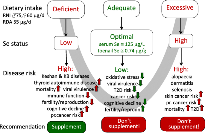 Does your body store excess selenium?