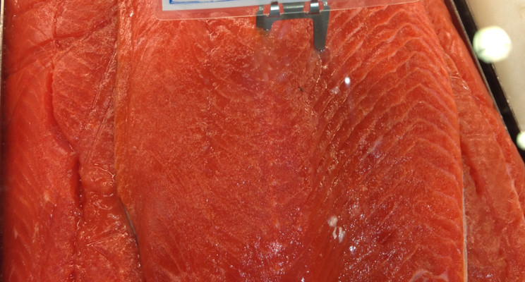 Has all salmon been frozen?