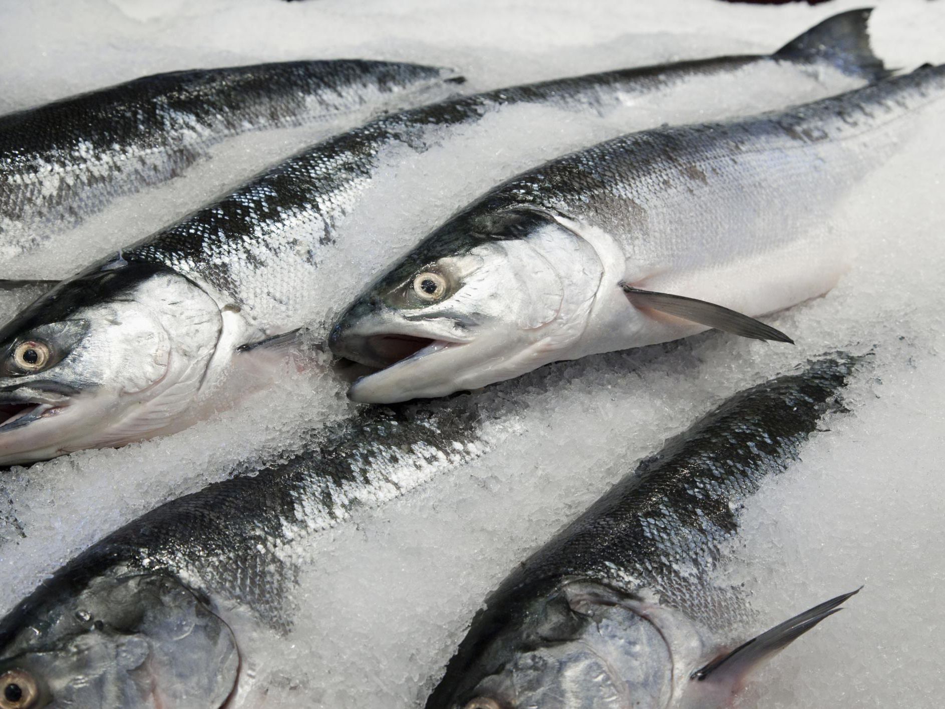 Has supermarket fish been frozen?