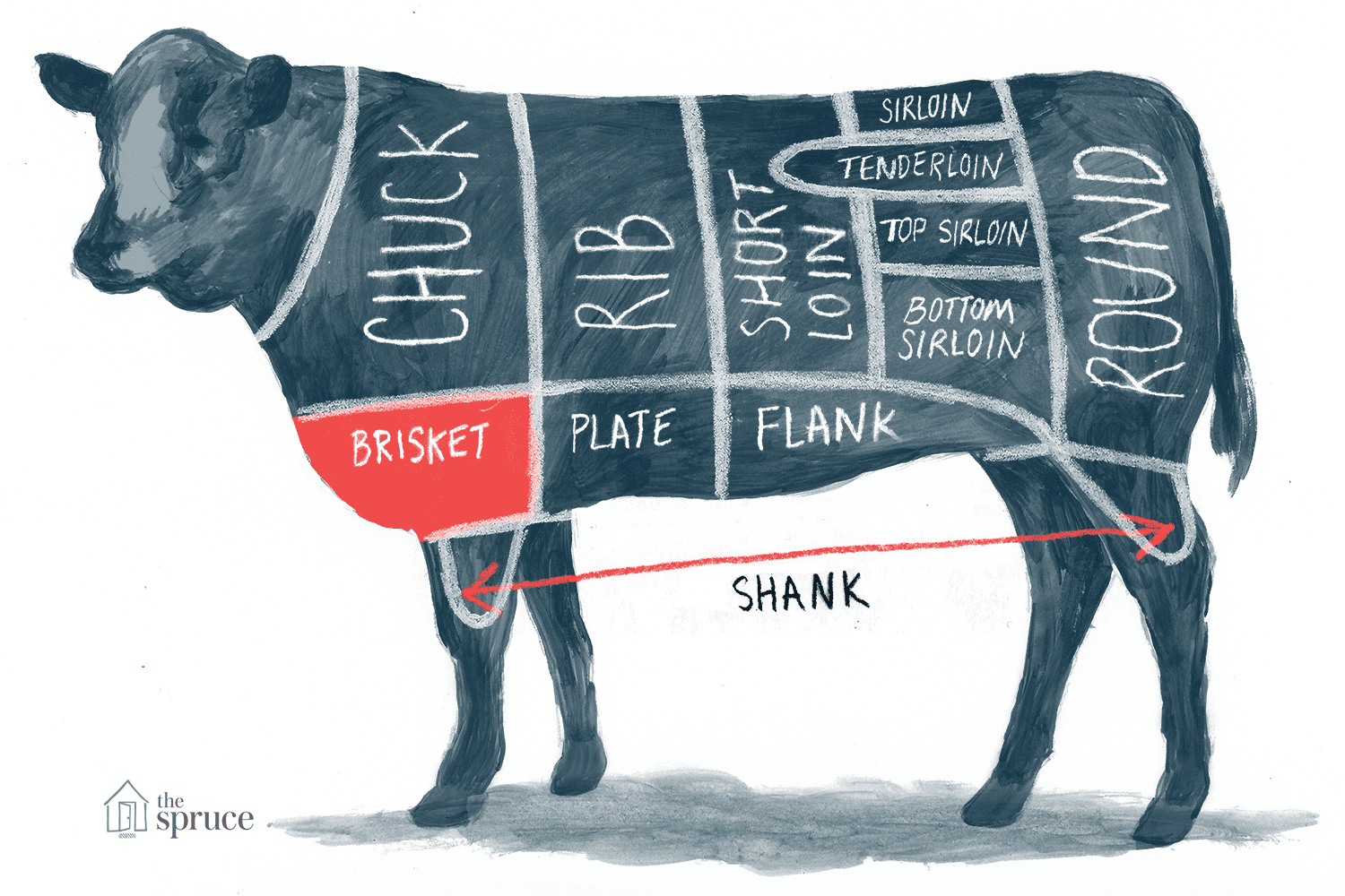 How a brisket is cut from the cow?