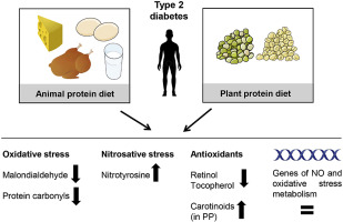 How animal protein impacts the diet in a negative way?