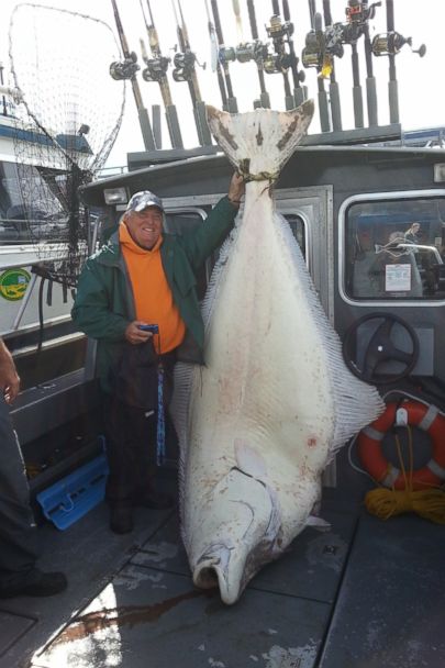 How are Alaskan halibut caught?
