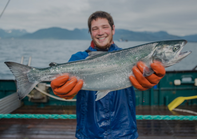 How are Alaska’s salmon fisheries managed for MSY?