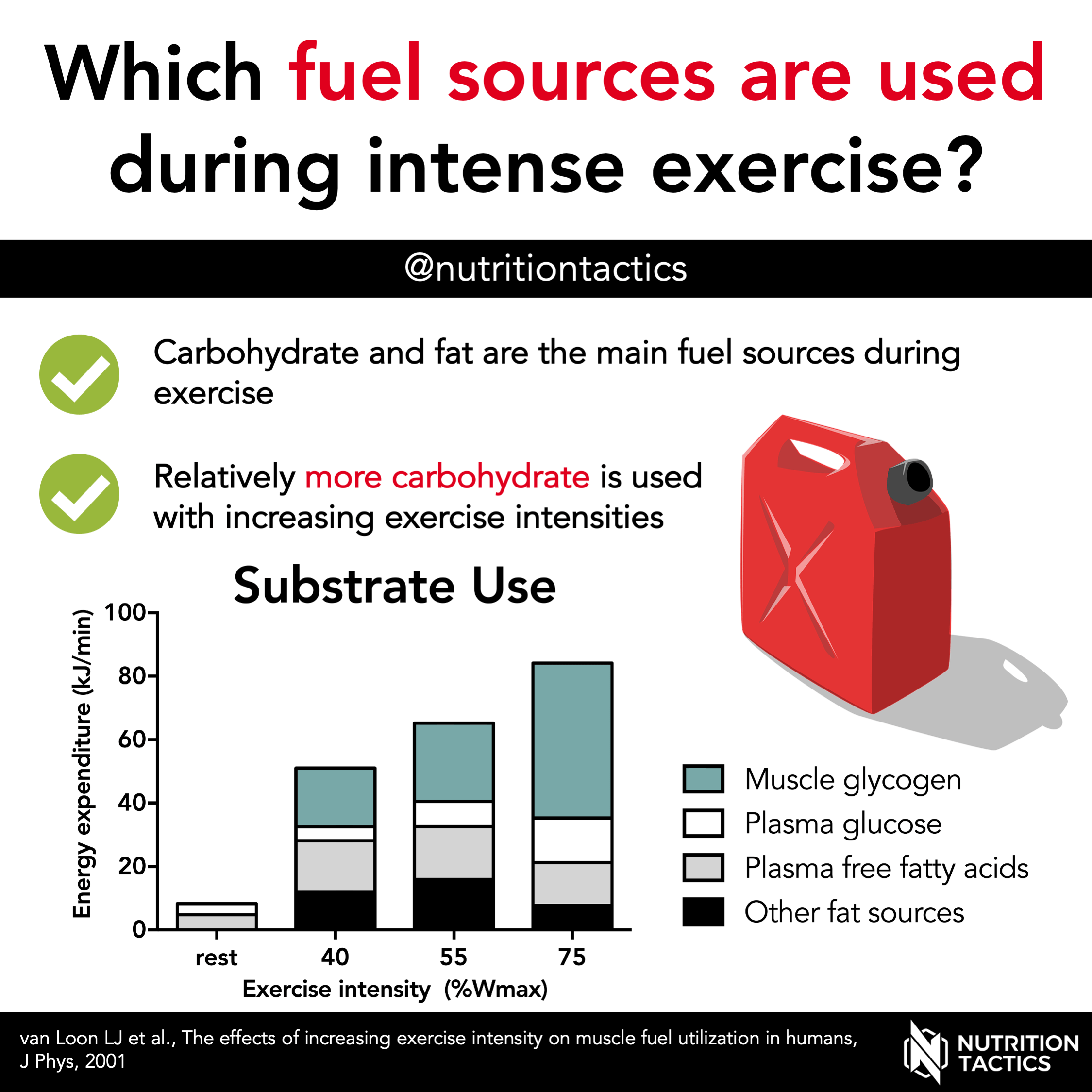 How are carbohydrates used during exercise?