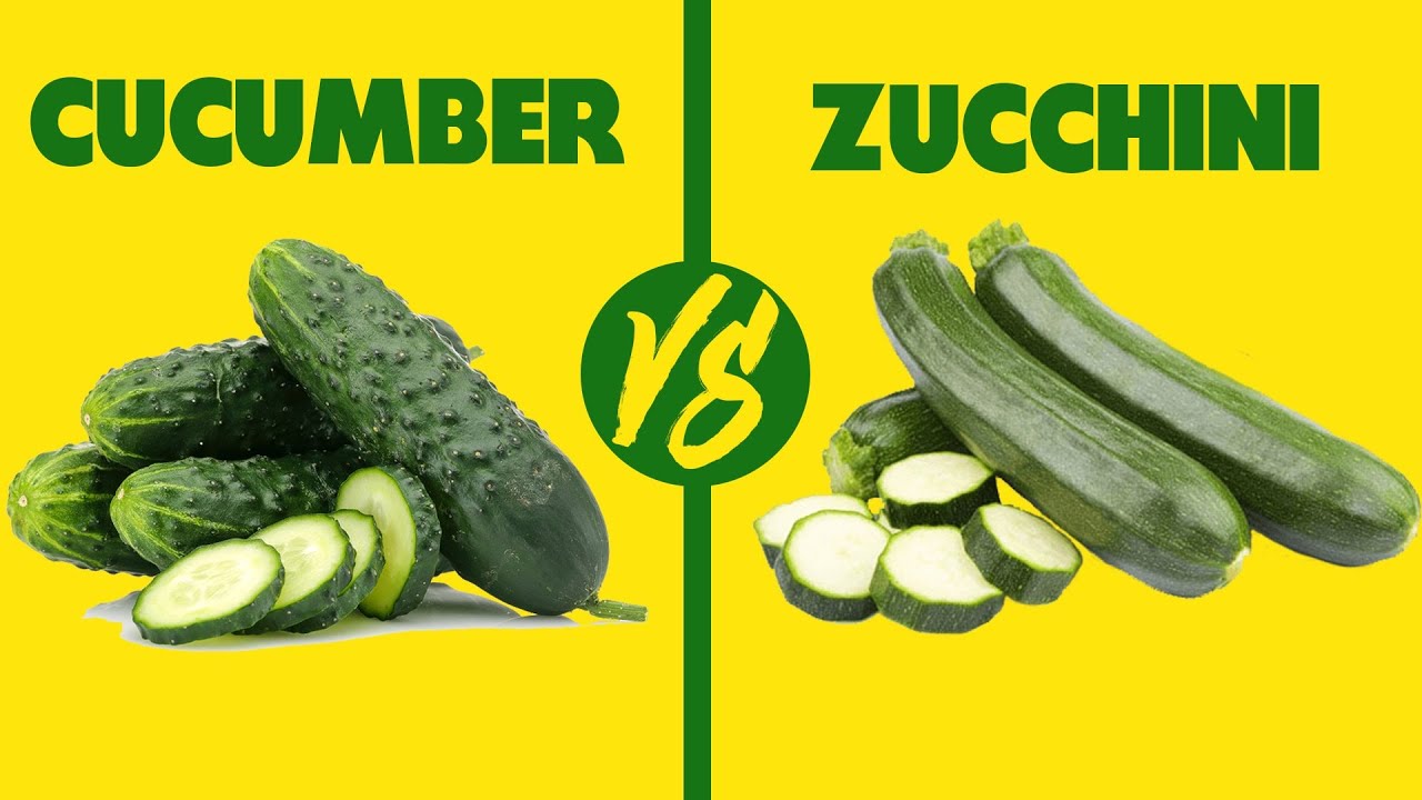 How are cucumber and zucchini different?