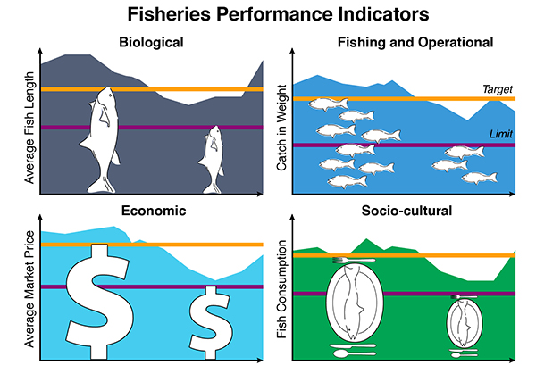 How are fish stocks assessed?