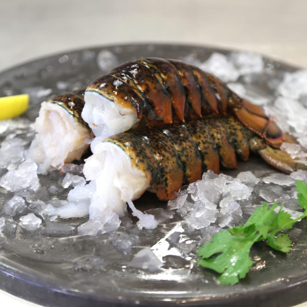 How are lobster tails harvested?