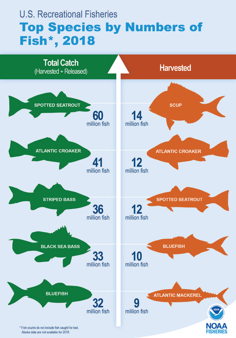 How are most fish caught?