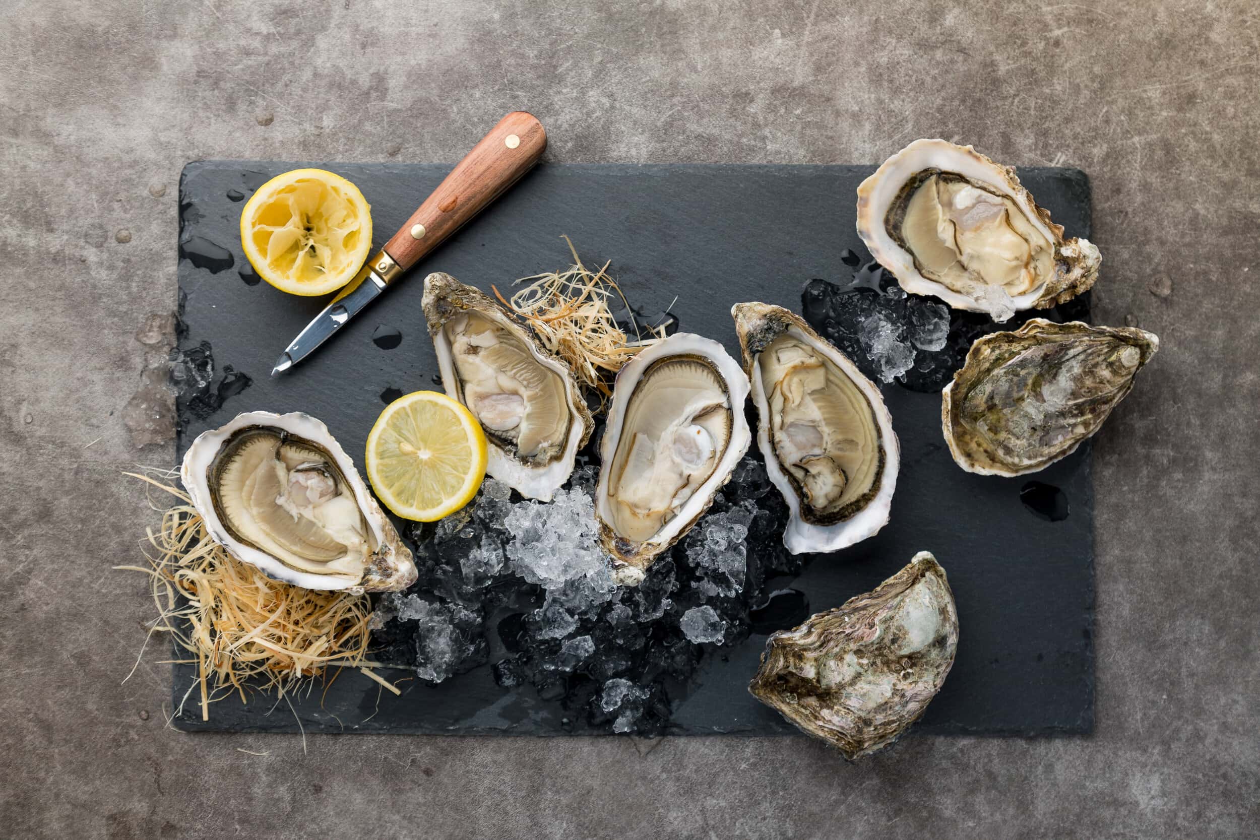 How are oysters stored in the UK?