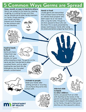 How are pathogens spread through food?