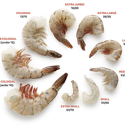 How are shrimp counted and sized?