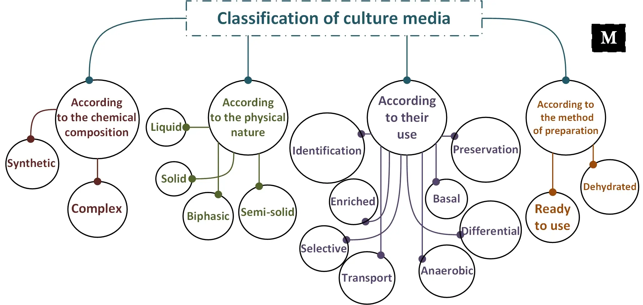 How are the culture media for the cultivation of bacteria classified?