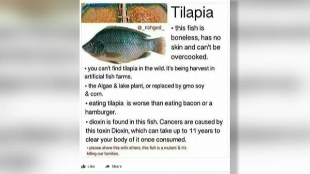 How bad is tilapia for you?