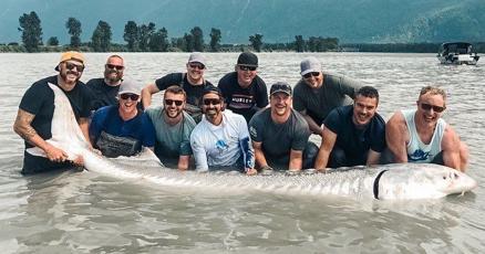 How Big Do Sturgeon Get In Bc 