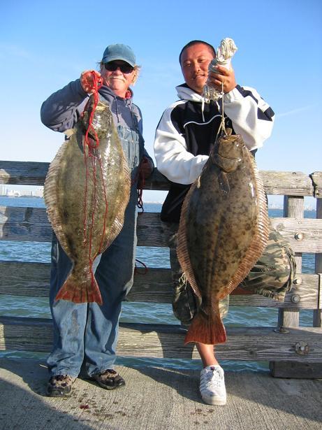 How big does a halibut that have to be in California?