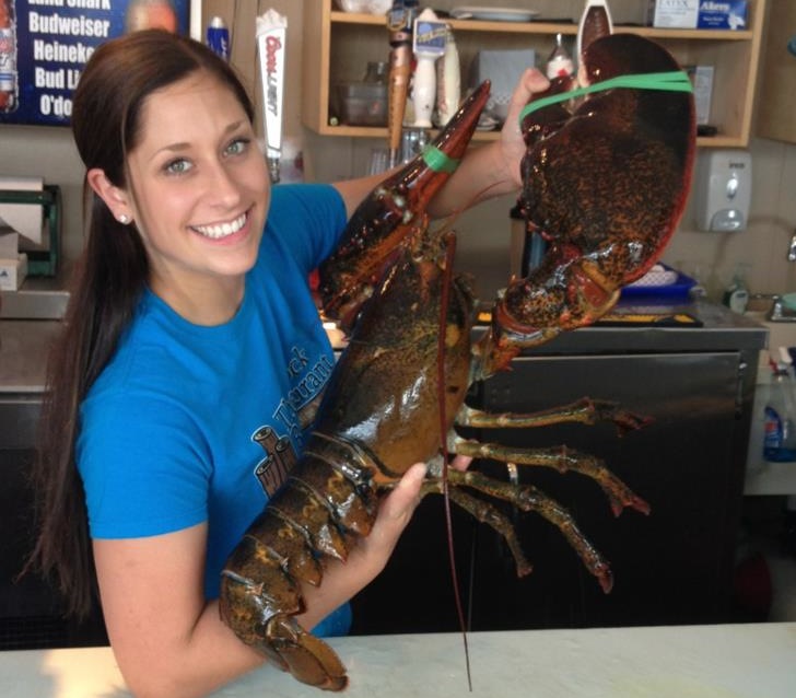 How big is a 100 year old lobster?