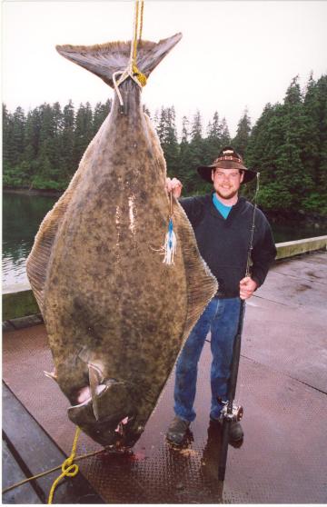 How big is a full grown halibut?