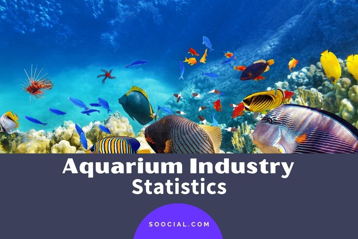 How big is the aquarium industry?