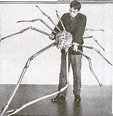 How big is the biggest spider crab ever recorded?