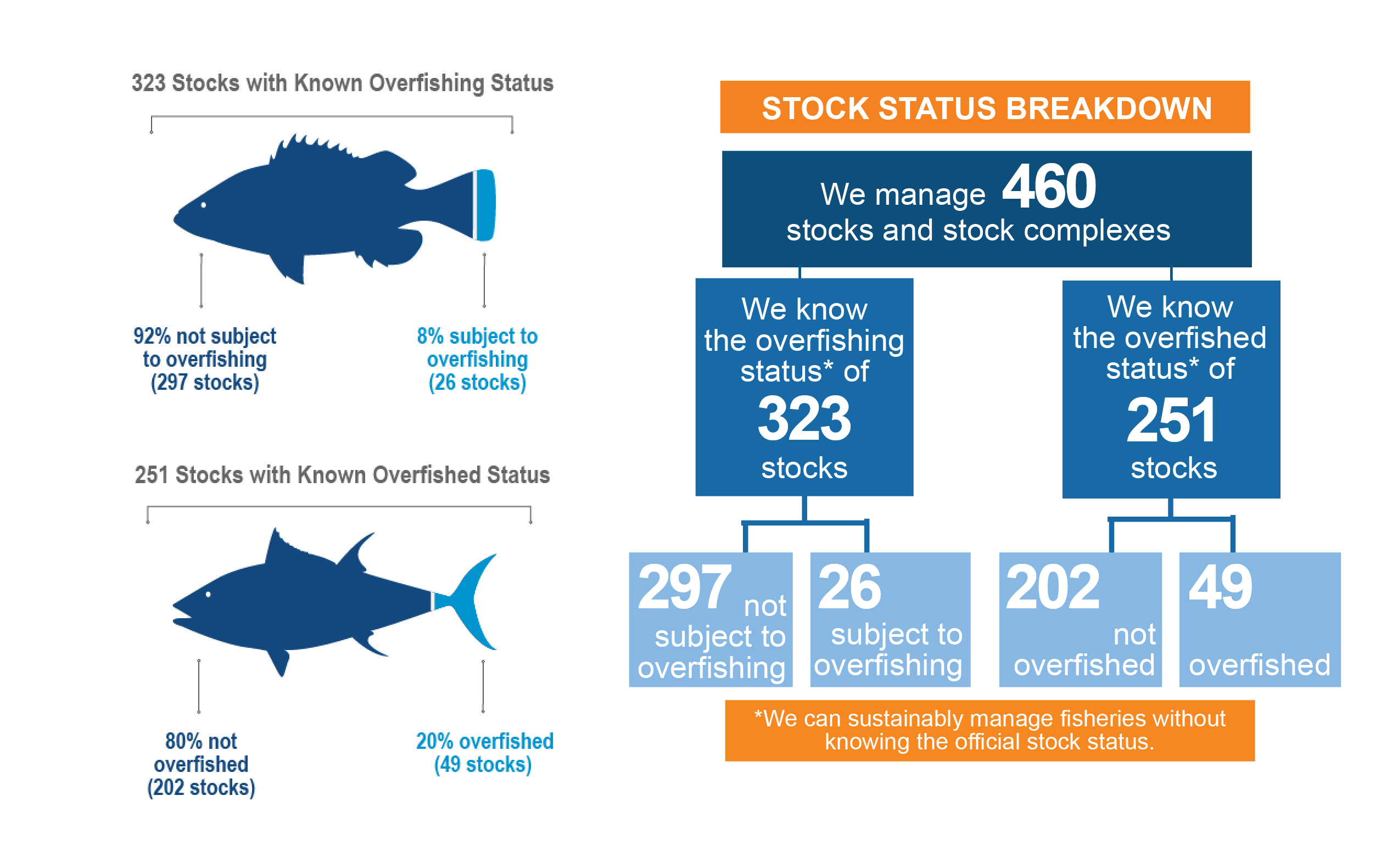 How big is the fishing economy?