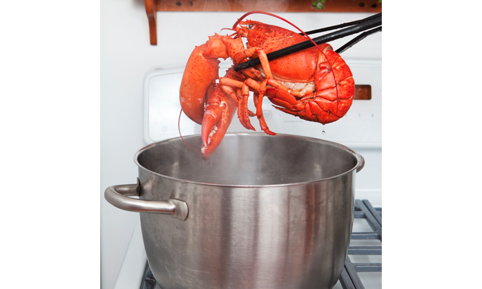 How big of a pot do you need for two lobsters?