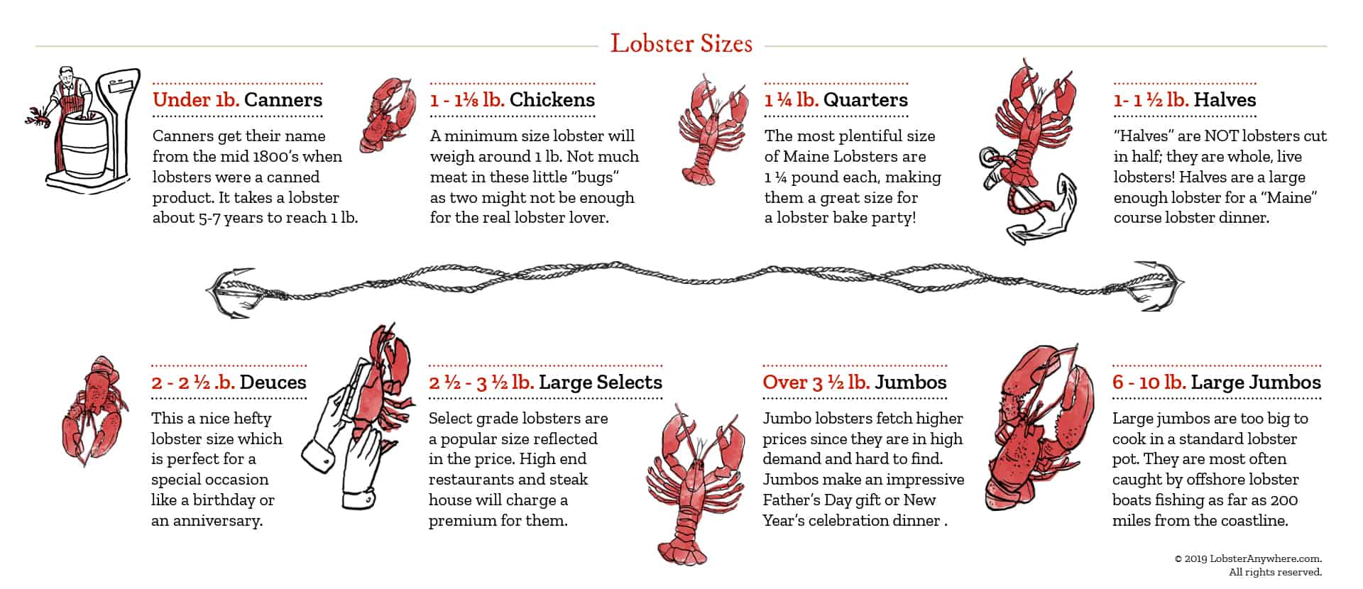 How big should a lobster be for one person?