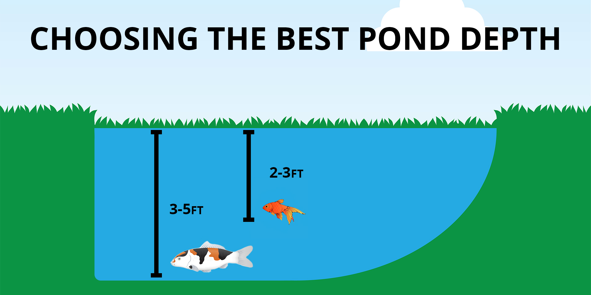 How big should a pond be for fish?