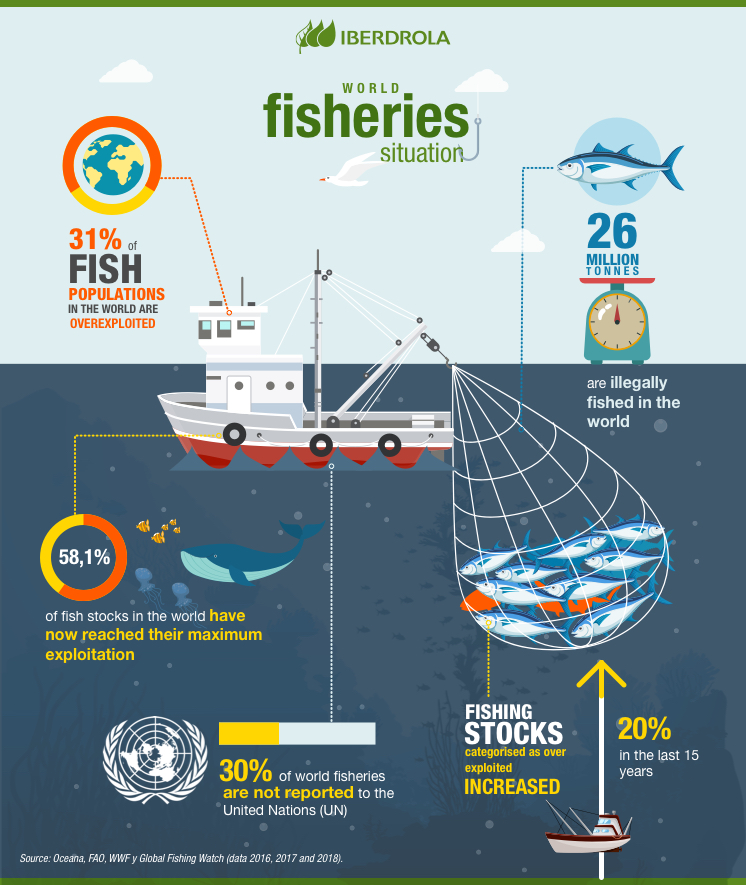 How can fisheries be managed sustainably?
