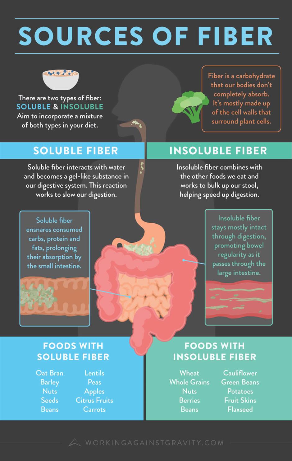 How can I absorb fiber better?