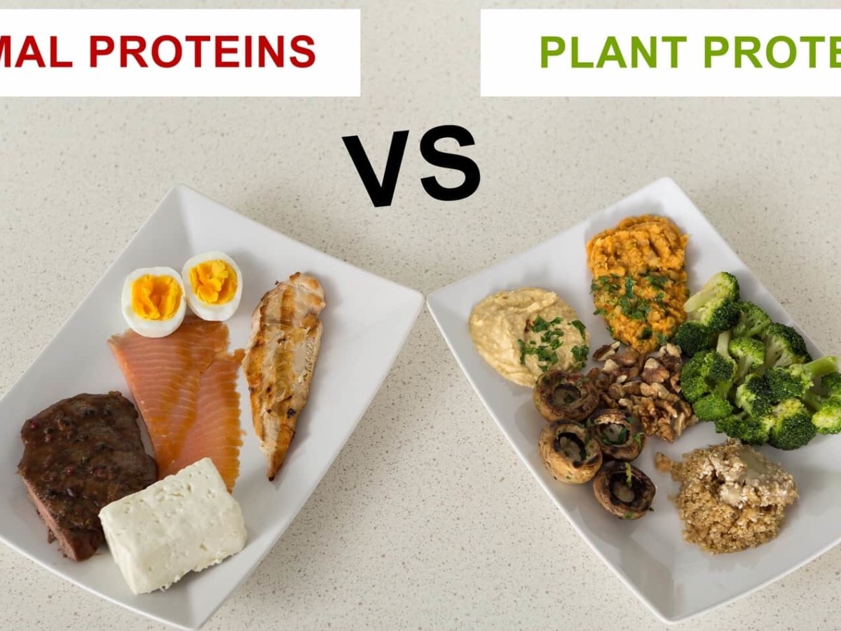 How can I get protein without eating meat?