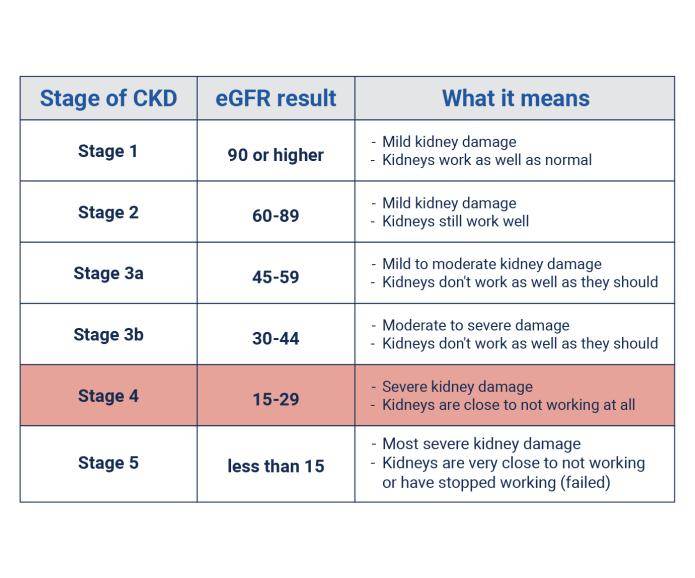 How can I improve my CKD Stage 4?