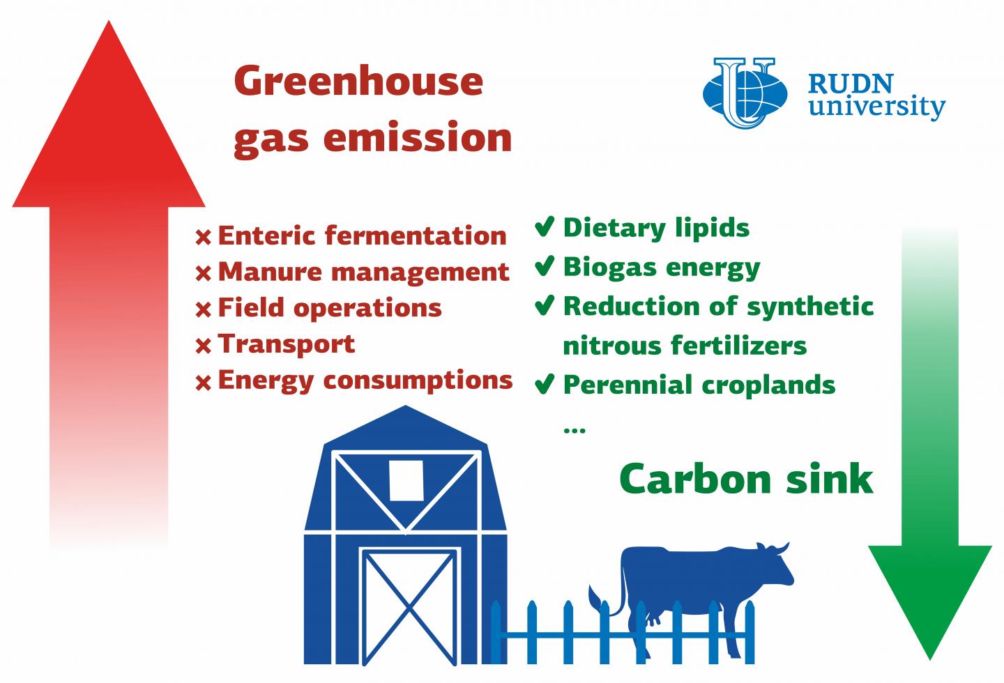 How can I reduce my gas emissions?