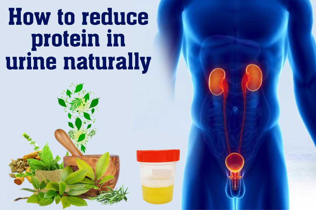 How can I reduce protein in my urine naturally?