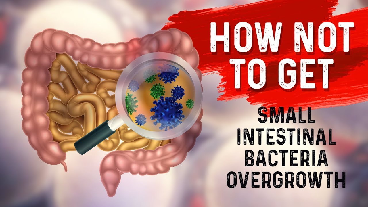 How can I reduce the bacteria in my small intestine?