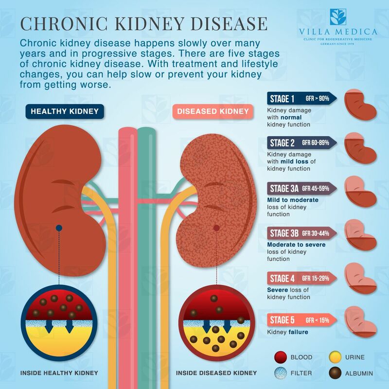 How can I regain normal kidney function?